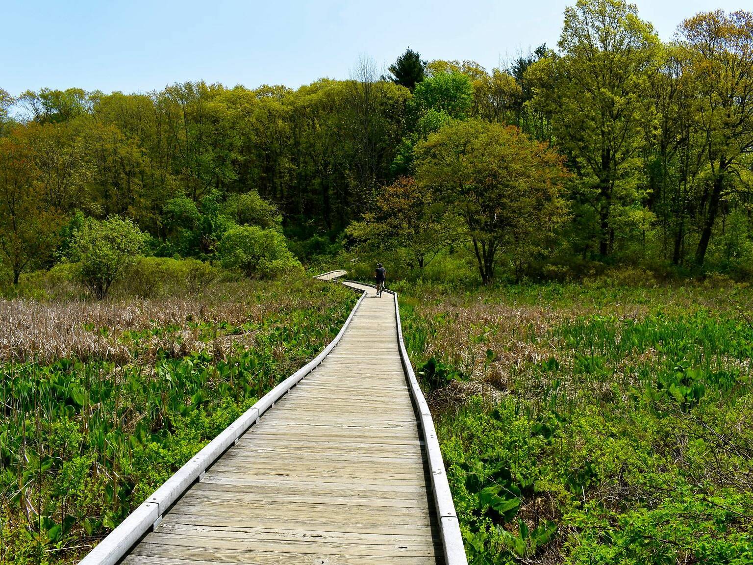 Boston in The Fall: Best Things To Do & Activities