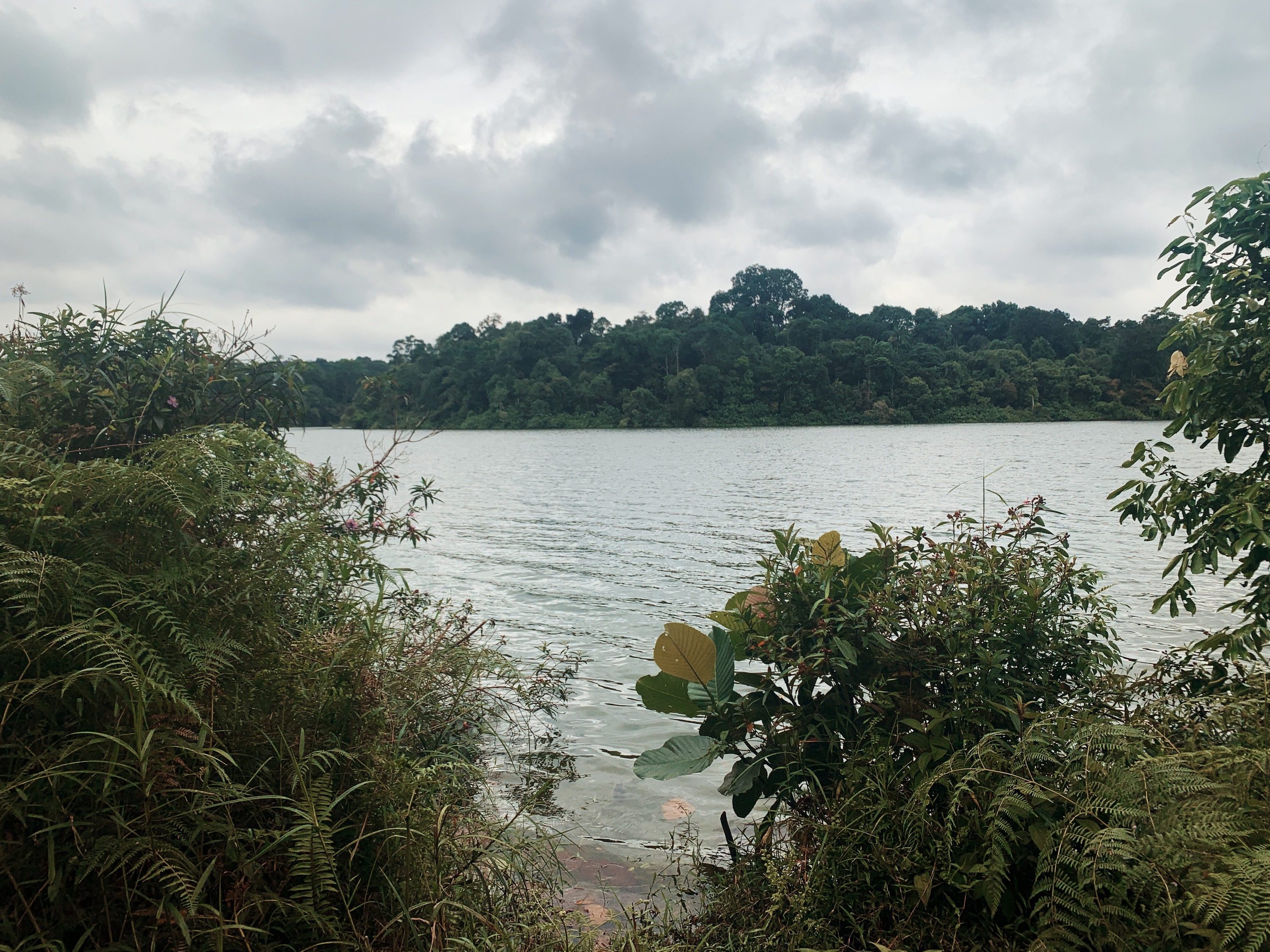 The Mandai T15 trail takes you off-the-beaten-track into Singapore's ...