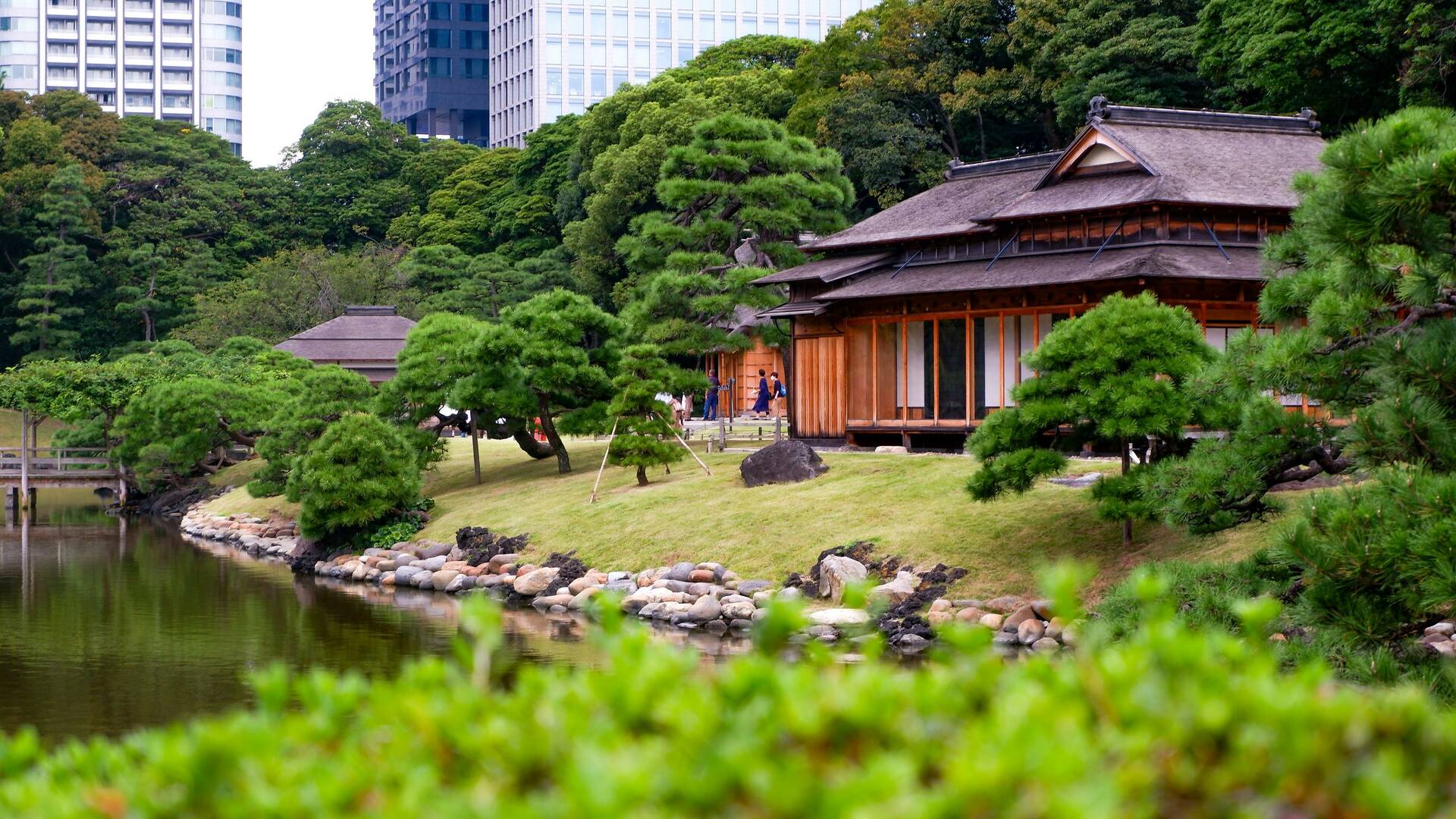 7 best outdoor adventure parks near Tokyo