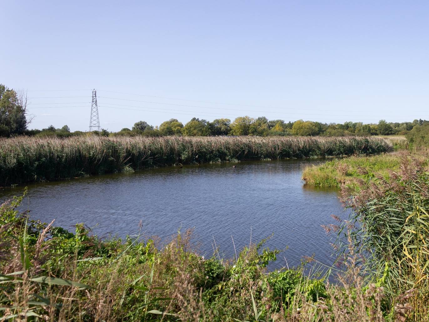 12 Incredible Wild Swimming Spots Near London