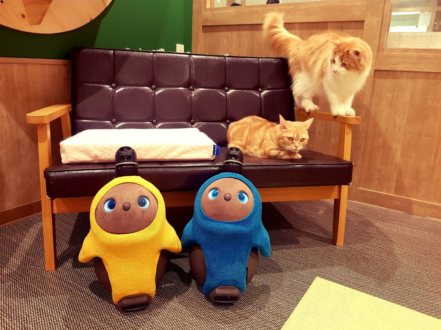 Cuddle up with cats and Lovot robots at this pet café in Kawasaki