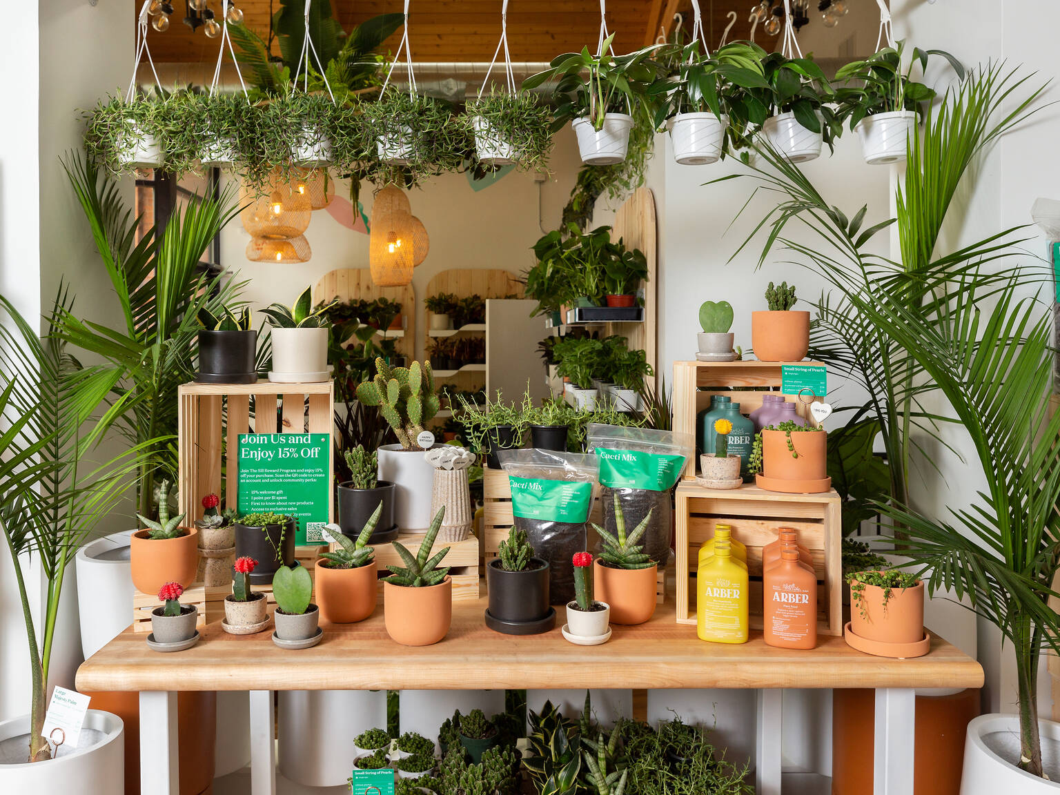 14 Chicago Plant Stores For Finding Gorgeous Home Greenery