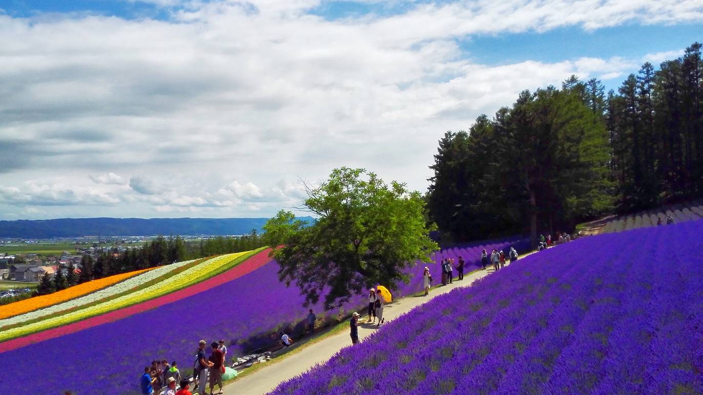 10 best summer destinations in Japan | Time Out Tokyo