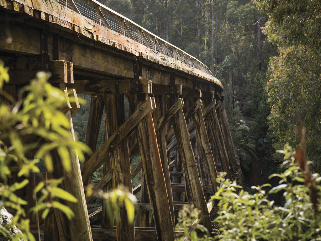 Head out on these great Victorian road trips