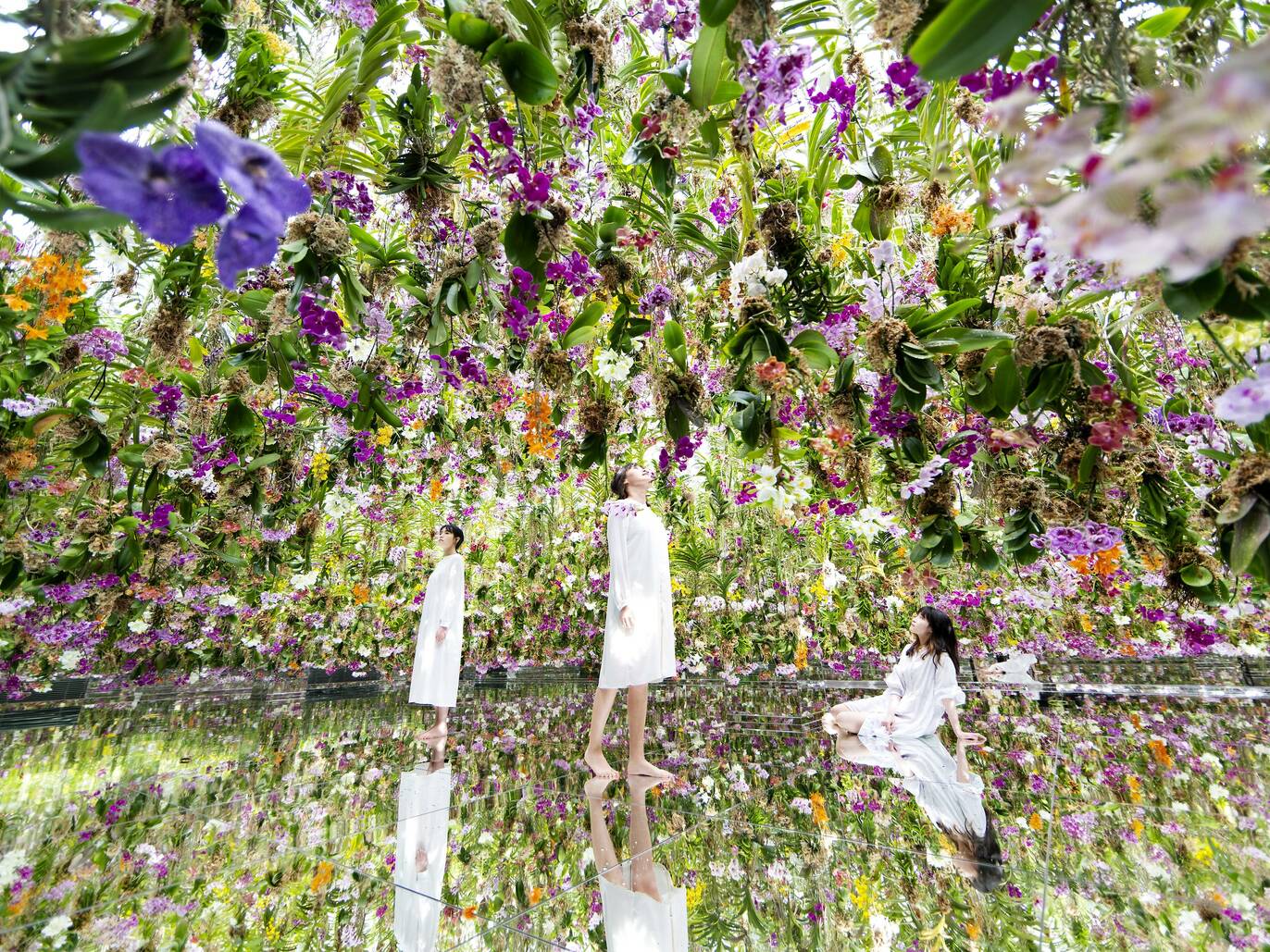 Here are all the amazing teamLab exhibitions in Japan