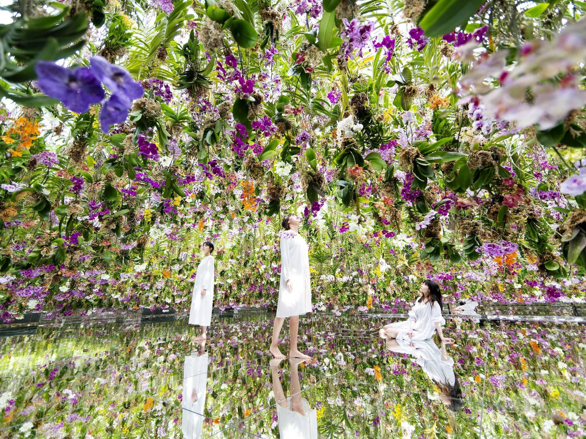 Here are all the amazing teamLab exhibitions in Japan