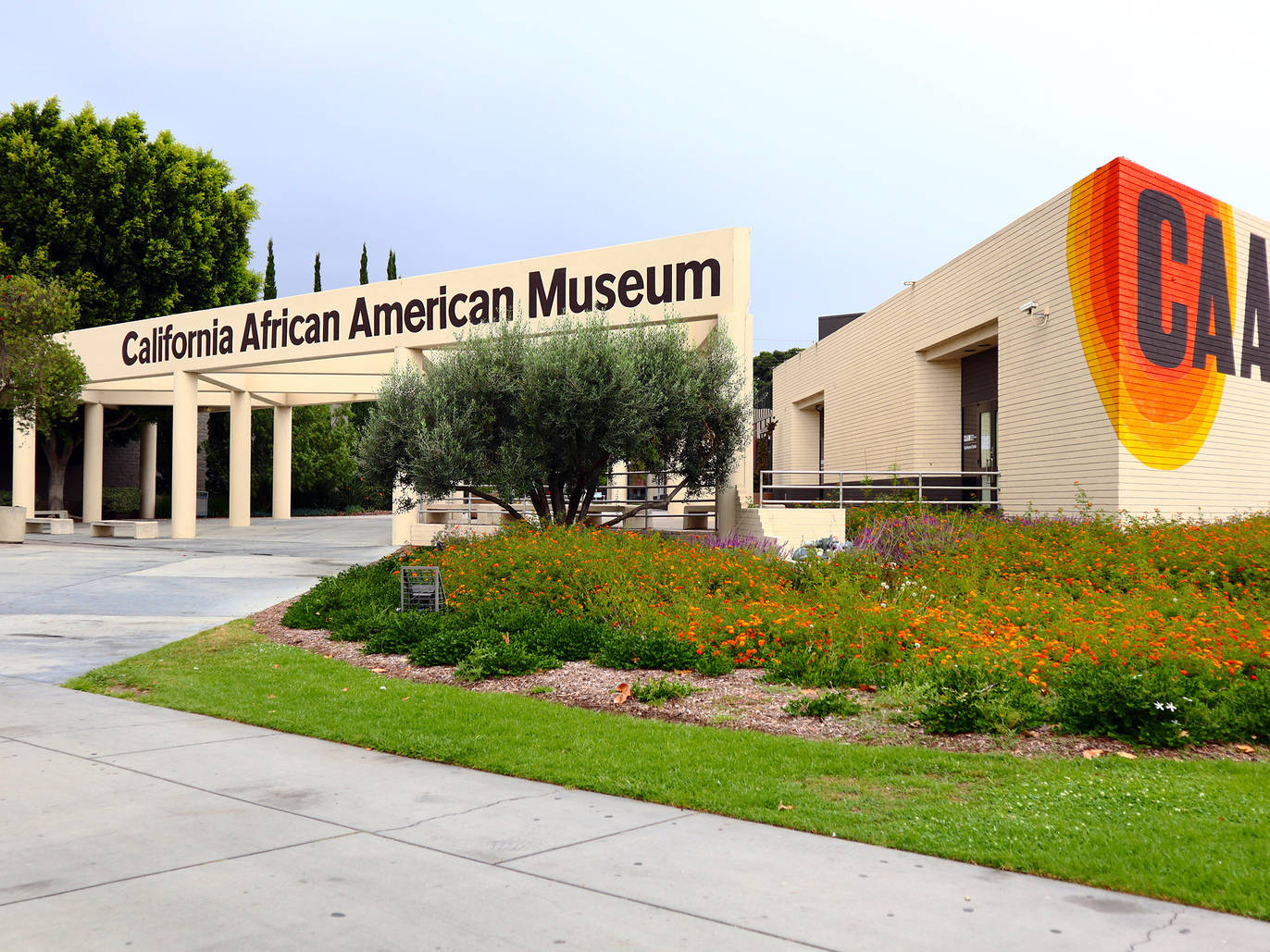 21 Best Museums in Los Angeles to Visit in 2024