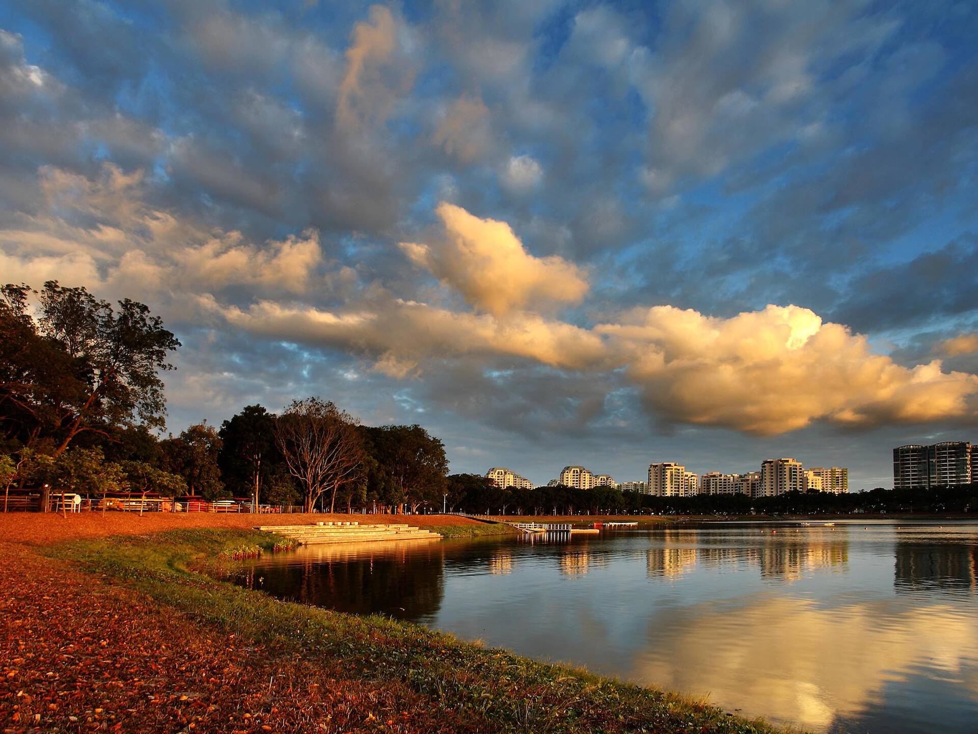 The Best Reservoir Parks In Singapore For Tranquil Waterside Walks