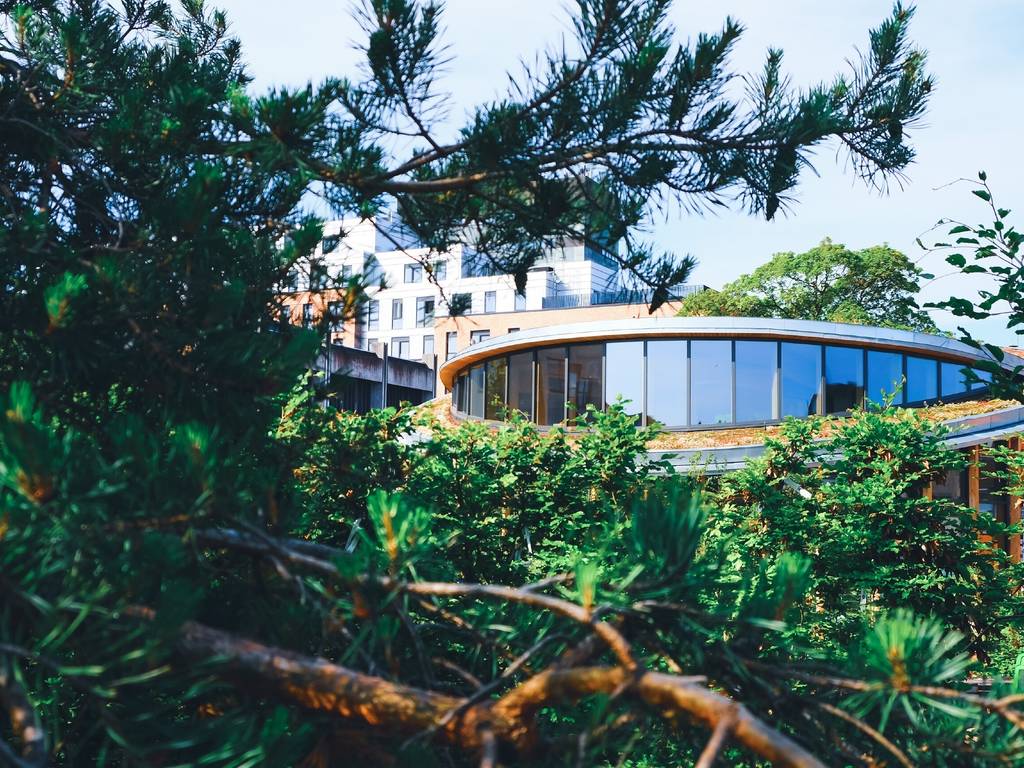 22 Best New Things to do in the World in 2022