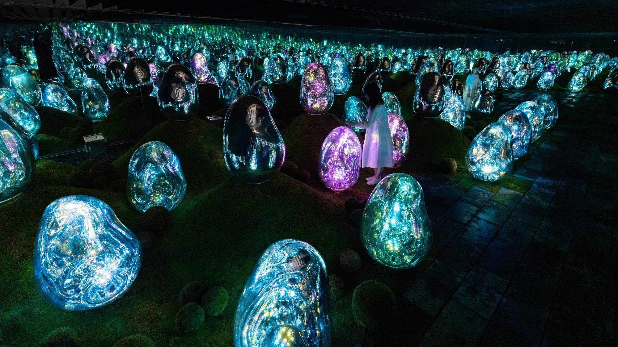 พาชมสวนมอสและกล้วยไม้สุดล้ำ ผลงานศิลปะจัดวาง 2 โซนใหม่ จาก teamLab ...
