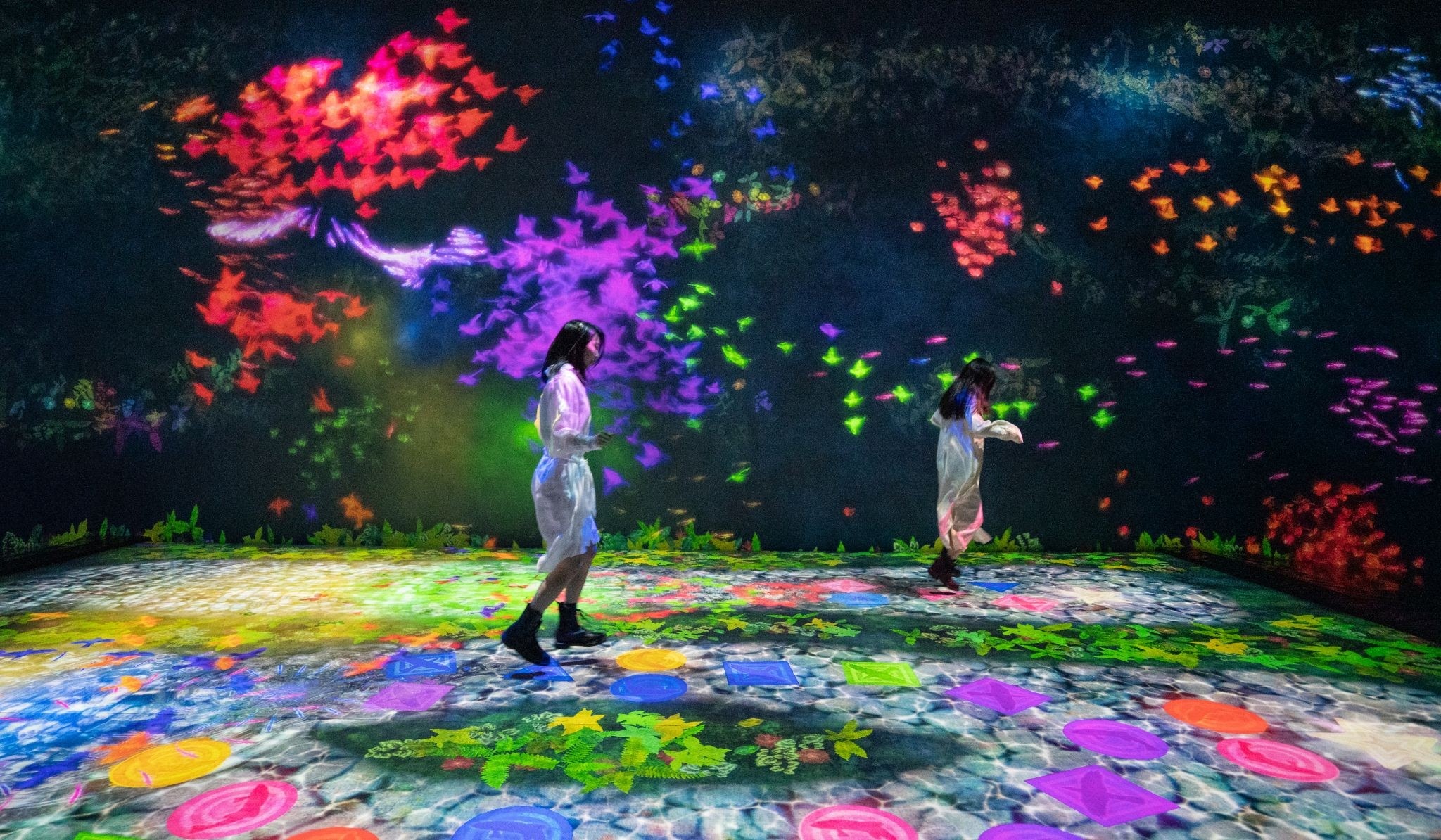 TeamLab Borderless Now Features 25 New And Updated Artworks