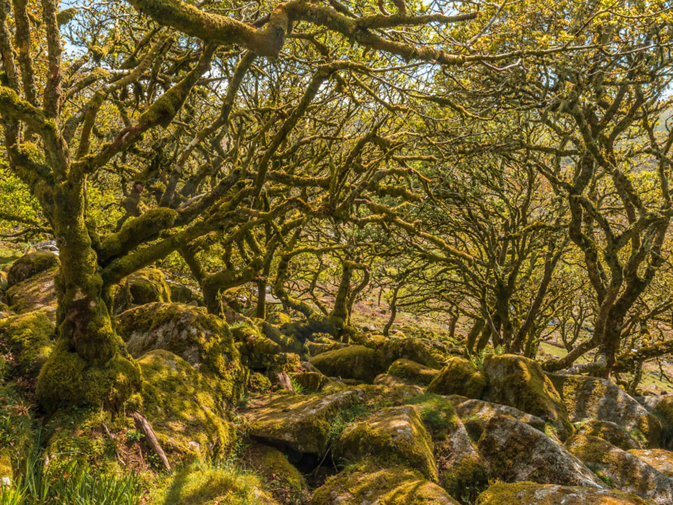 21 Truly Amazing Natural Wonders and Attractions in the UK