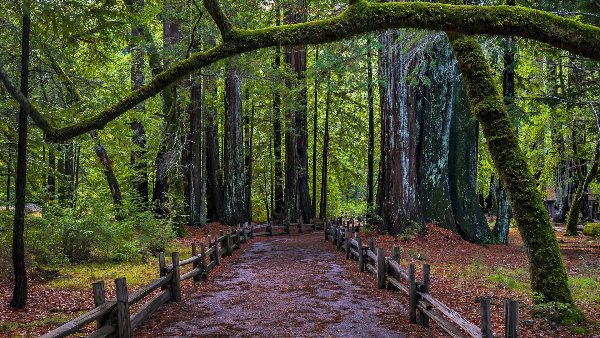 11 Beautiful California State Parks to Explore This Summer