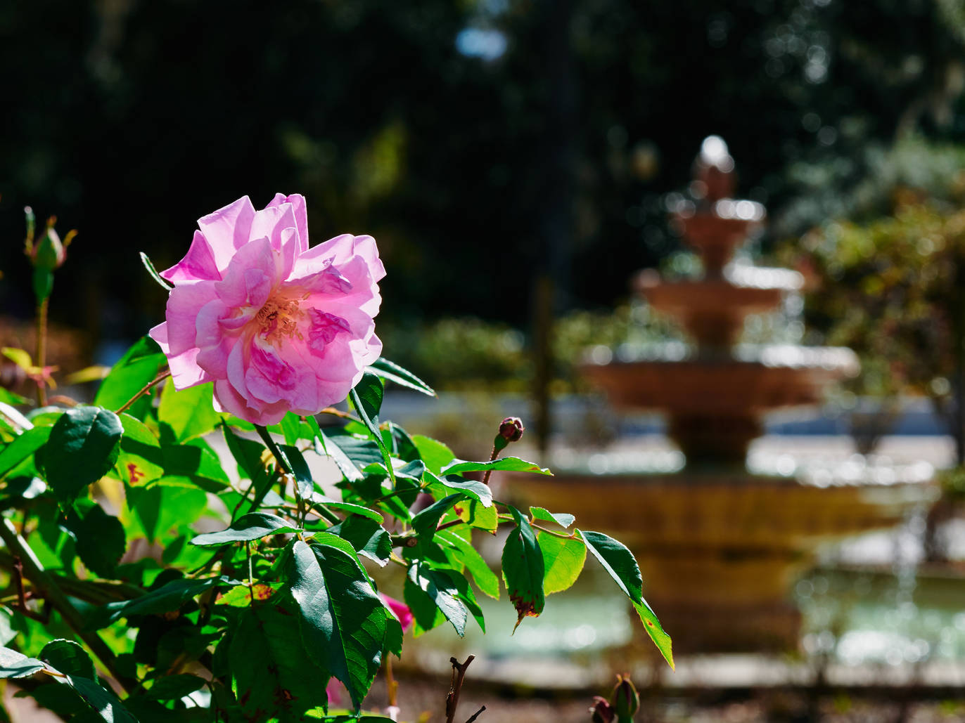 17 Best Things To Do In Orlando Beyond Theme Parks