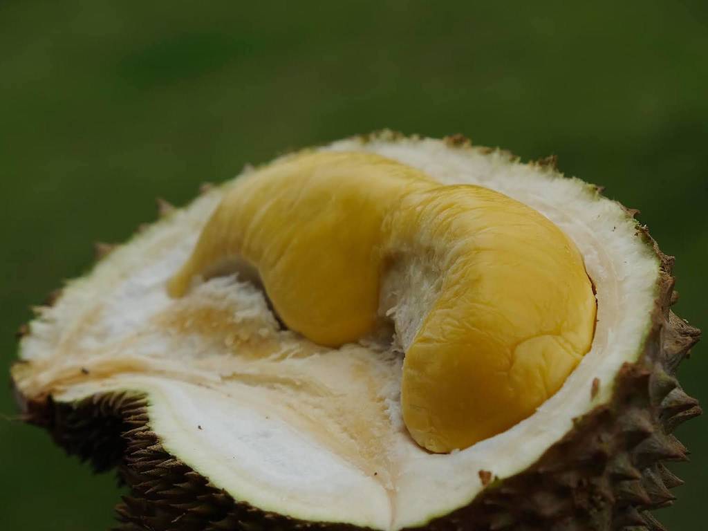 Your Ultimate Guide To Durian In Singapore