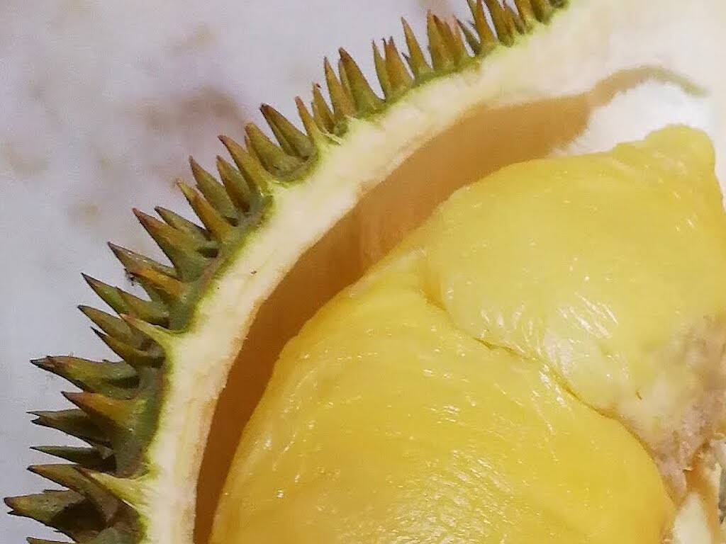 Your Ultimate Guide To Durian In Singapore