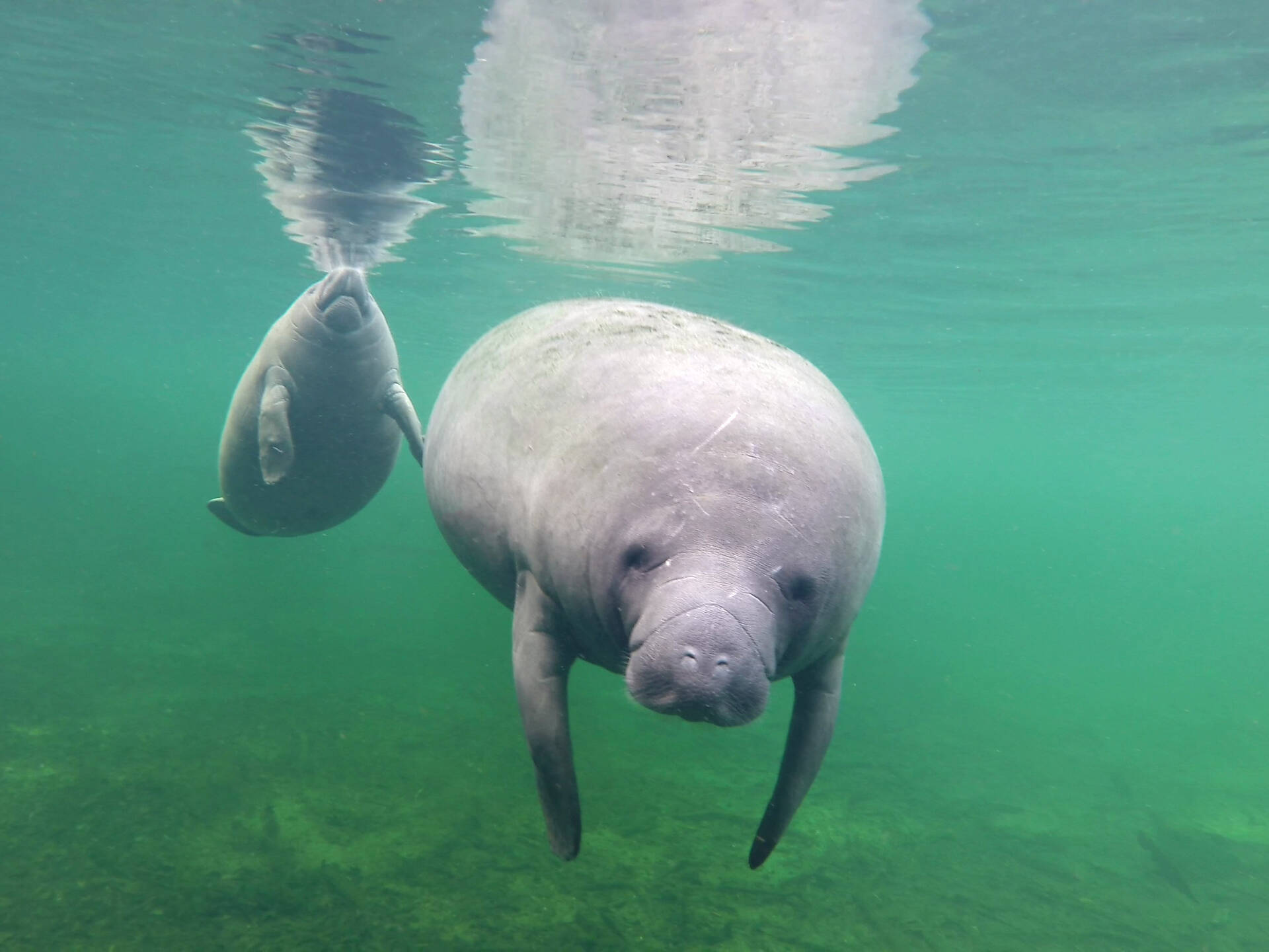 11 Best Parks in Orlando According To A Local