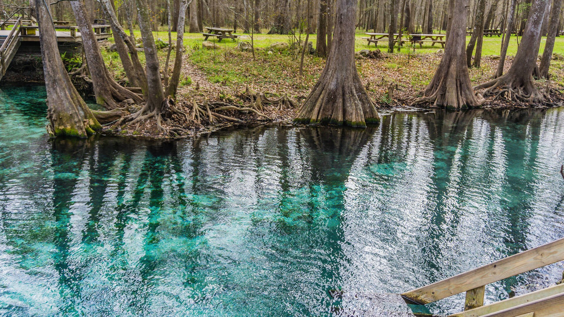 11 Best Parks in Orlando According To A Local