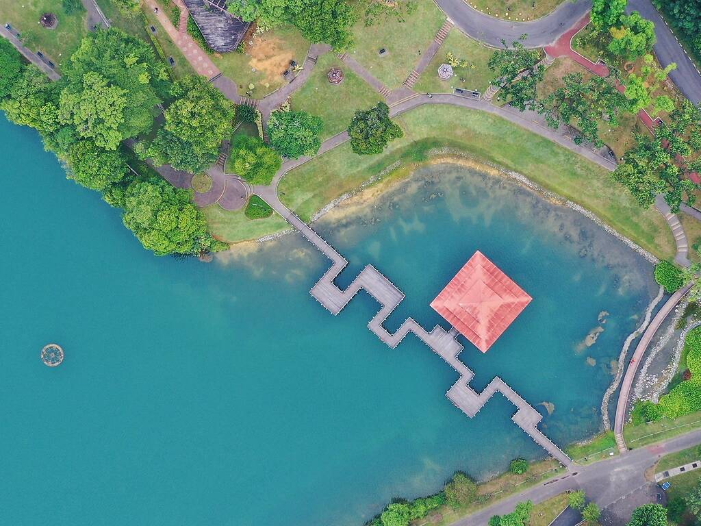 The Ultimate Guide To MacRitchie Reservoir