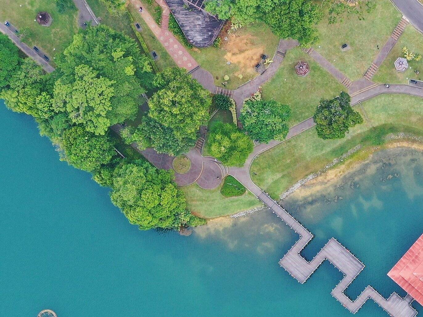 The Ultimate Guide To MacRitchie Reservoir