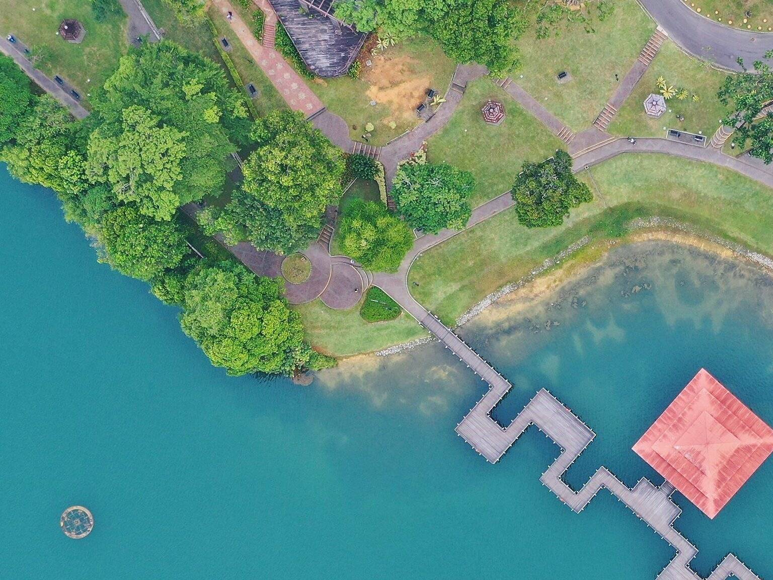 The Ultimate Guide To MacRitchie Reservoir