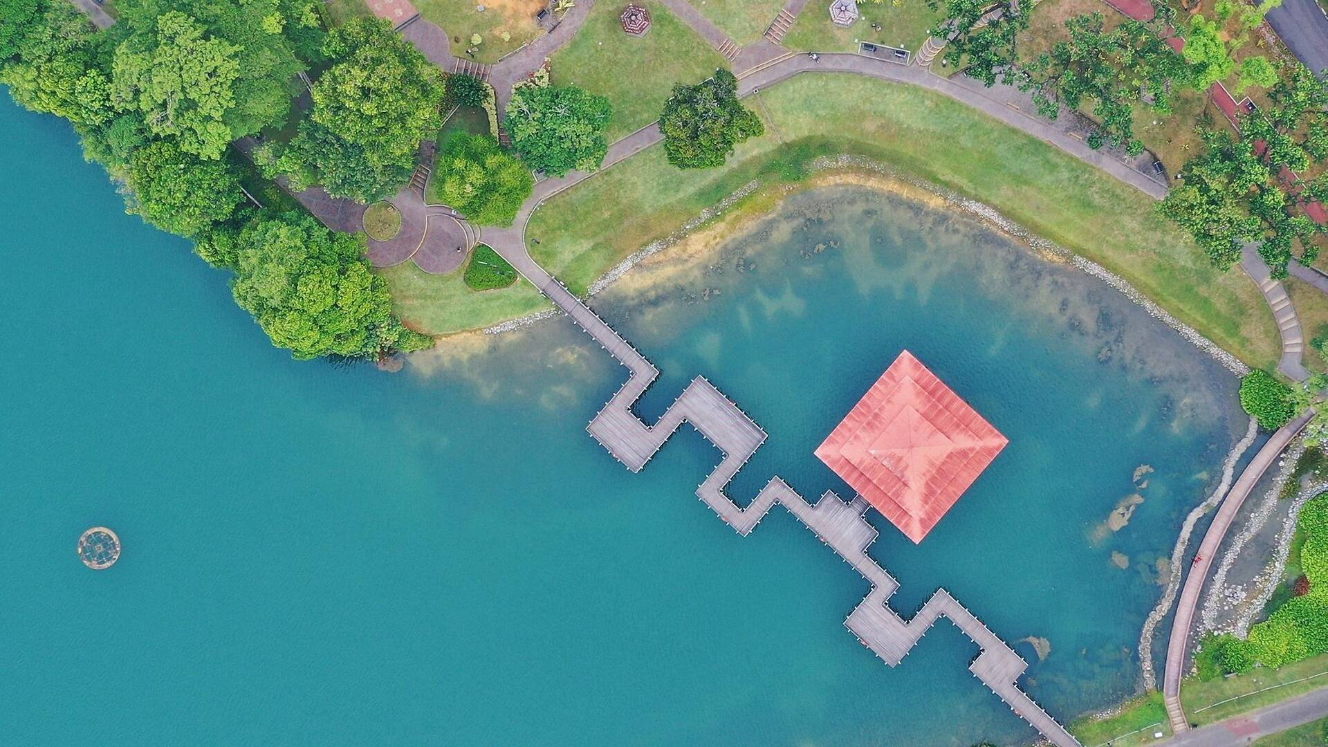The Ultimate Guide To MacRitchie Reservoir
