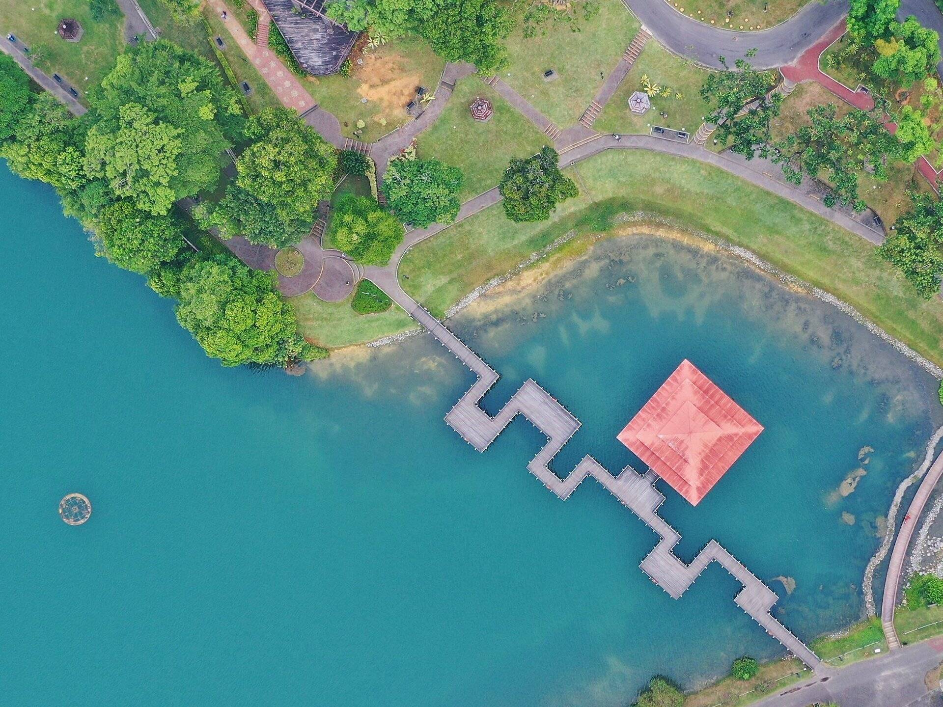 The Ultimate Guide To MacRitchie Reservoir