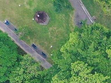 The Ultimate Guide To MacRitchie Reservoir