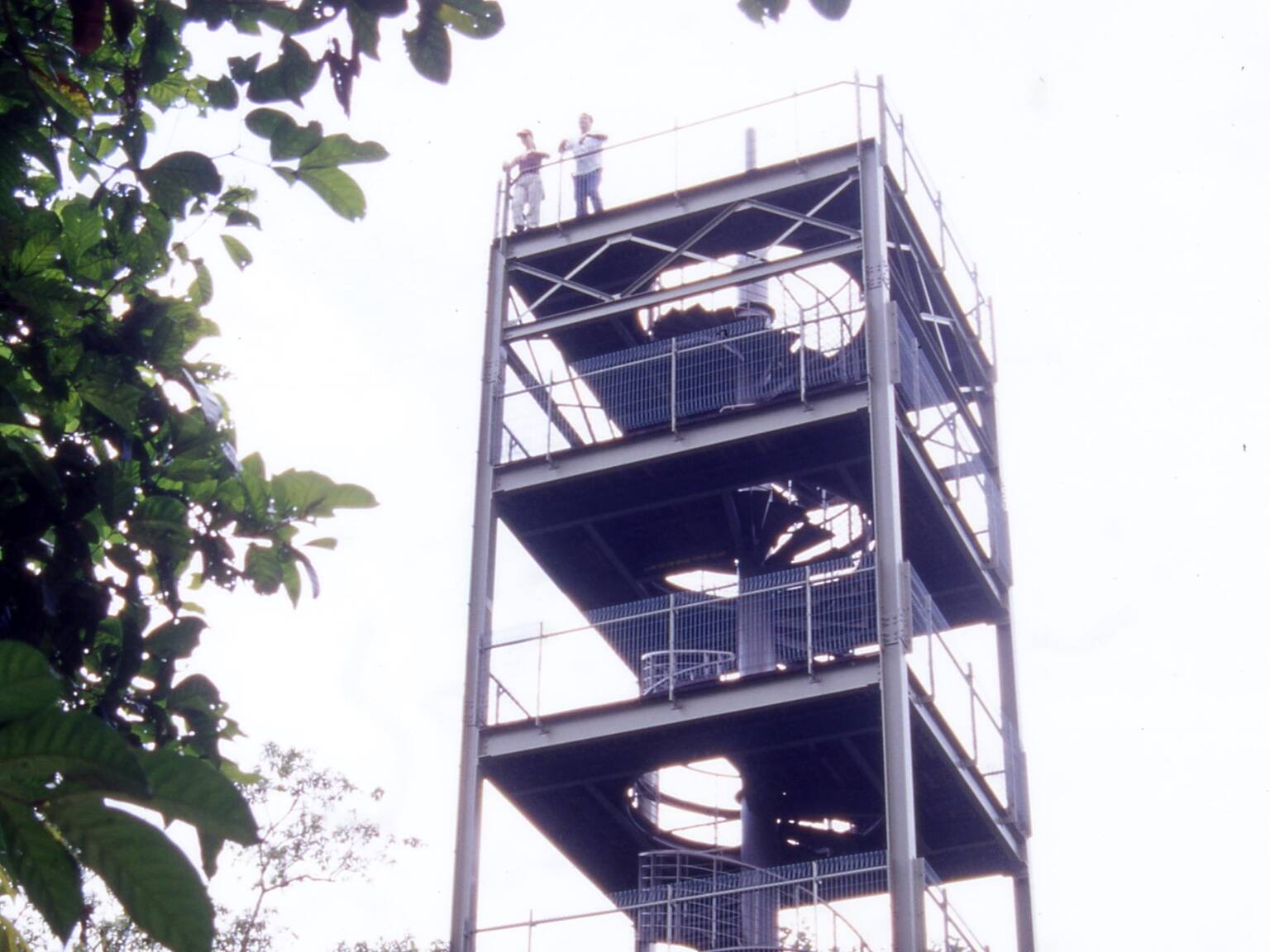 The Ultimate Guide To MacRitchie Reservoir