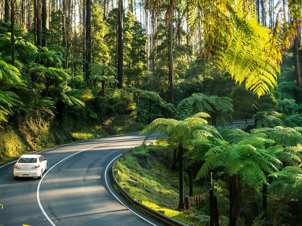 The 8 best scenic drives in Victoria | Best drives near Melbourne