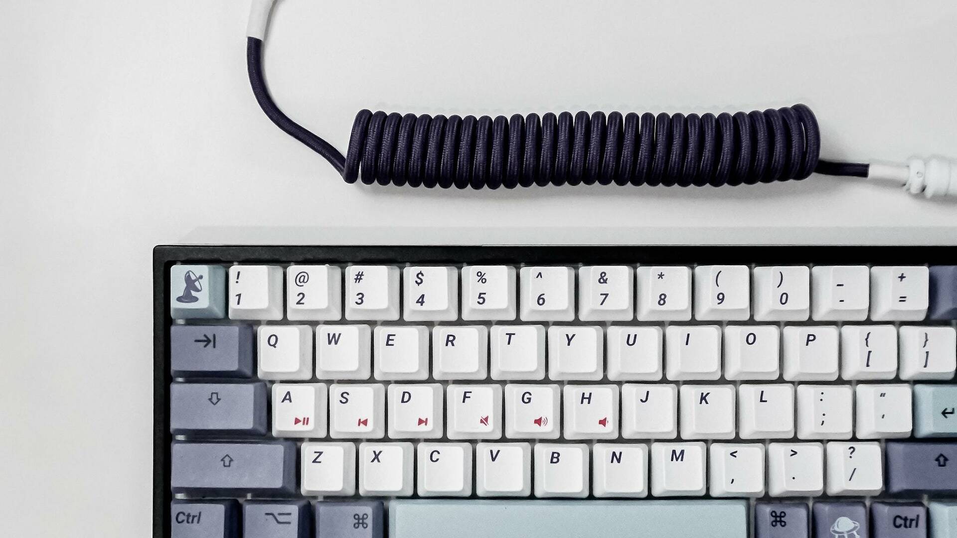 8 Niche Hobbies To Get Into Right Now