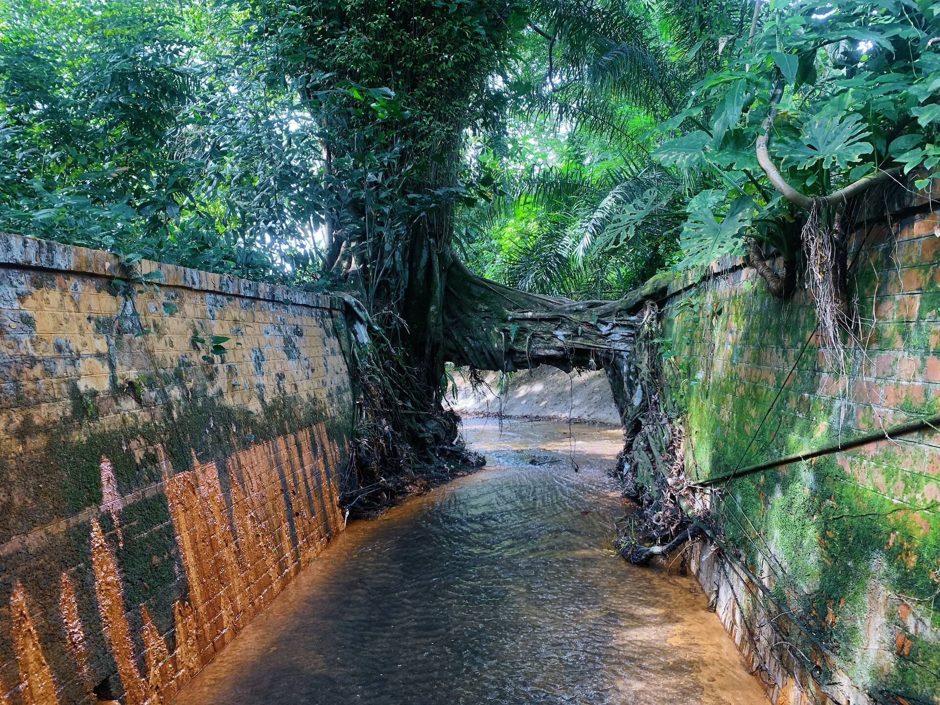 The Ultimate Guide To The Rail Corridor In Singapore