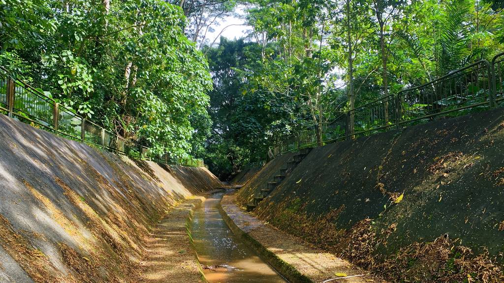 Clementi Forest | Things to do in Kent Ridge, Singapore