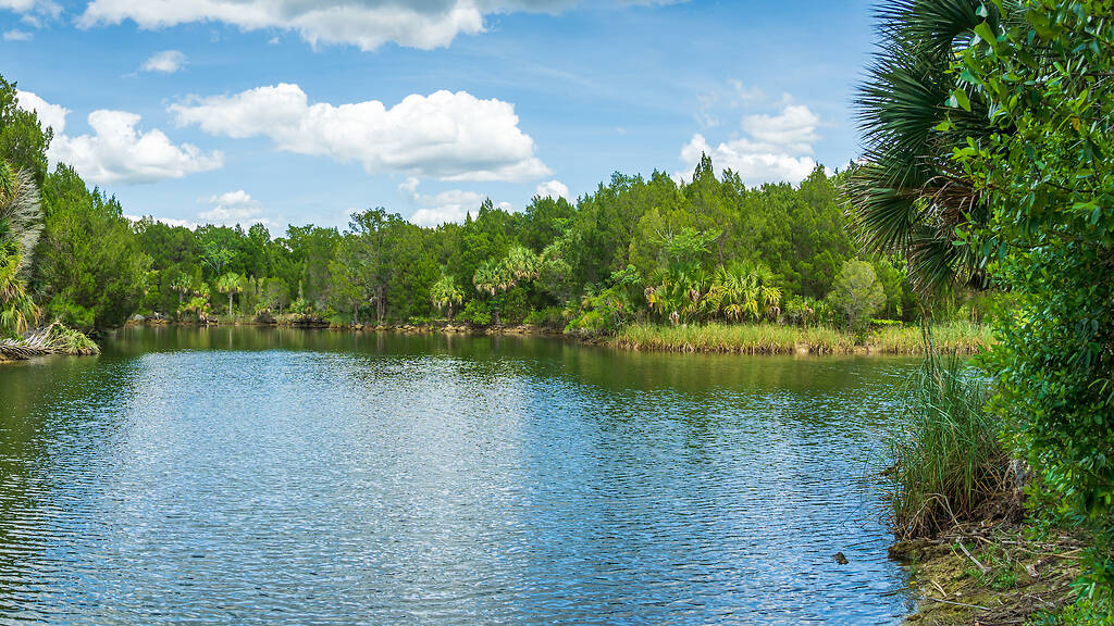 12 Natural Springs Near Miami for a Cooling Summer Swim