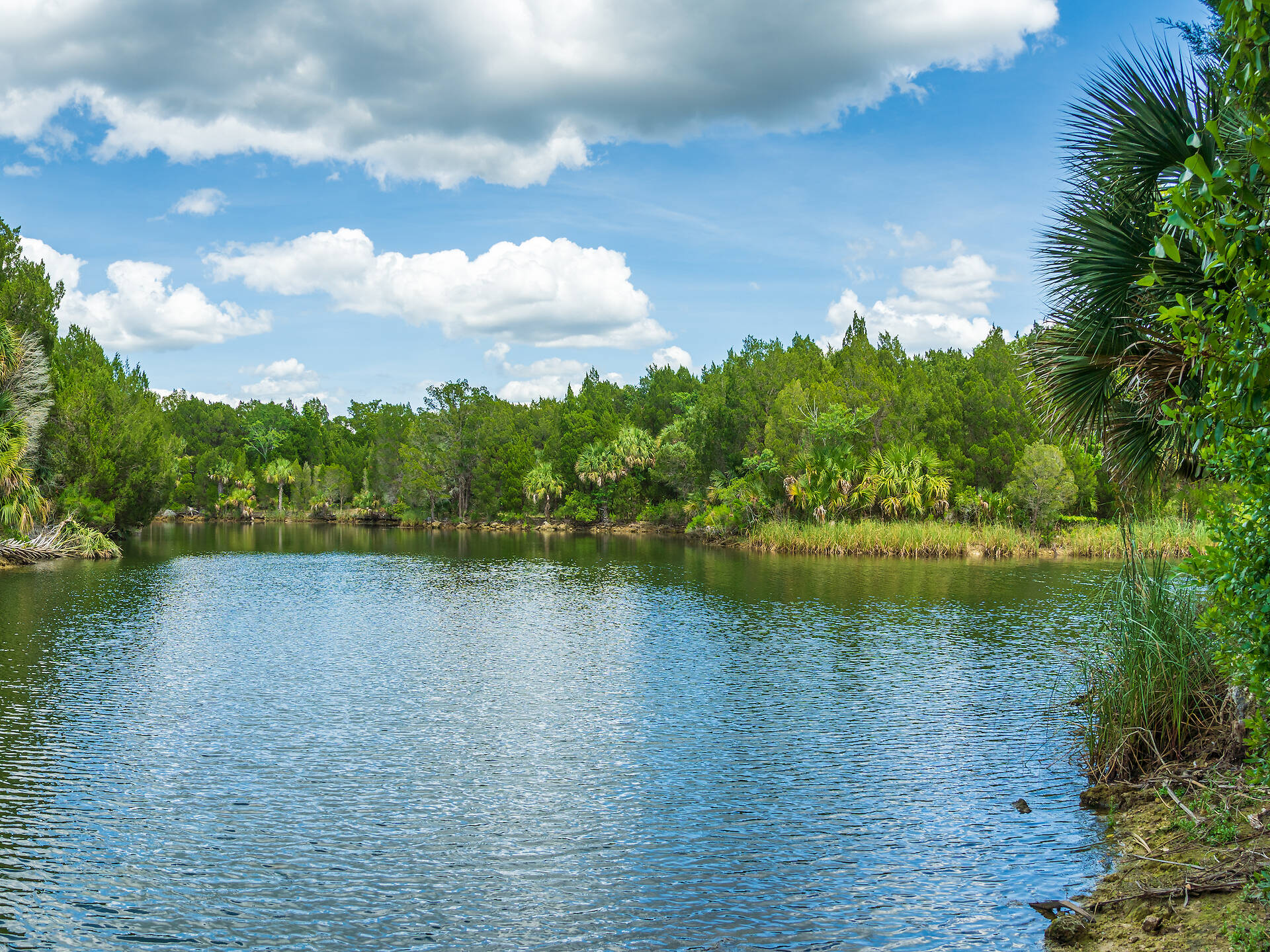 12 Natural Springs Near Miami for a Cooling Summer Swim