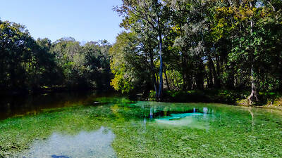 12 Natural Springs Near Miami for a Cooling Summer Swim