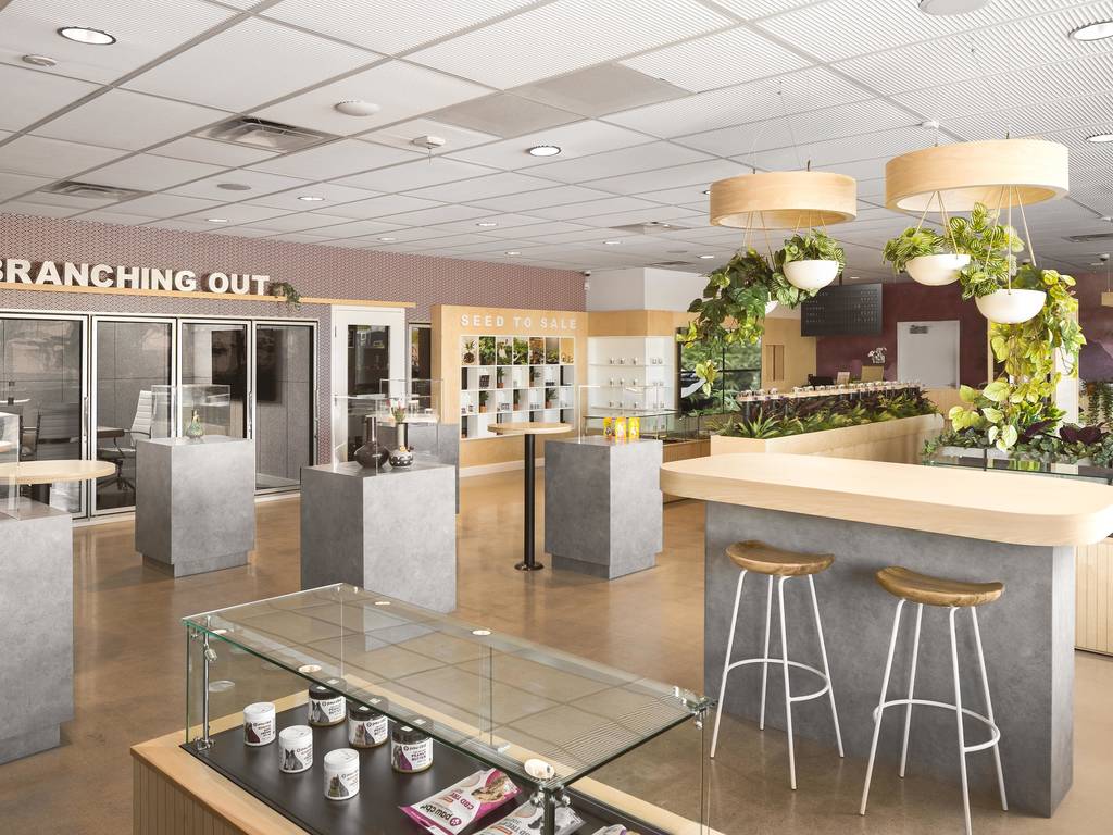 10 Best Cannabis Dispensaries in Phoenix, Arizona Right Now