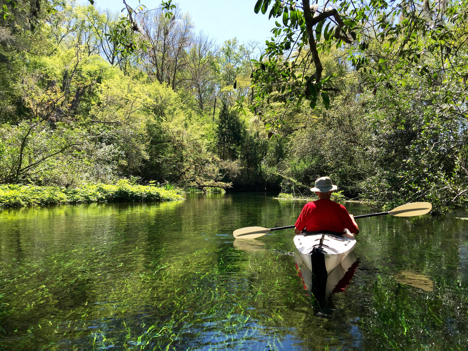 12 Natural Springs Near Miami for a Cooling Summer Swim
