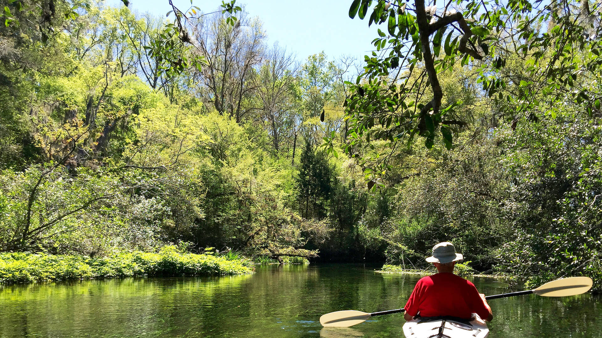 12 Natural Springs Near Miami for a Cooling Summer Swim