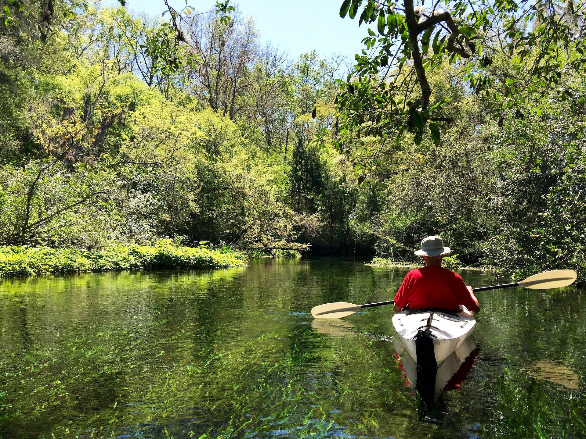 12 Natural Springs Near Miami for a Cooling Summer Swim