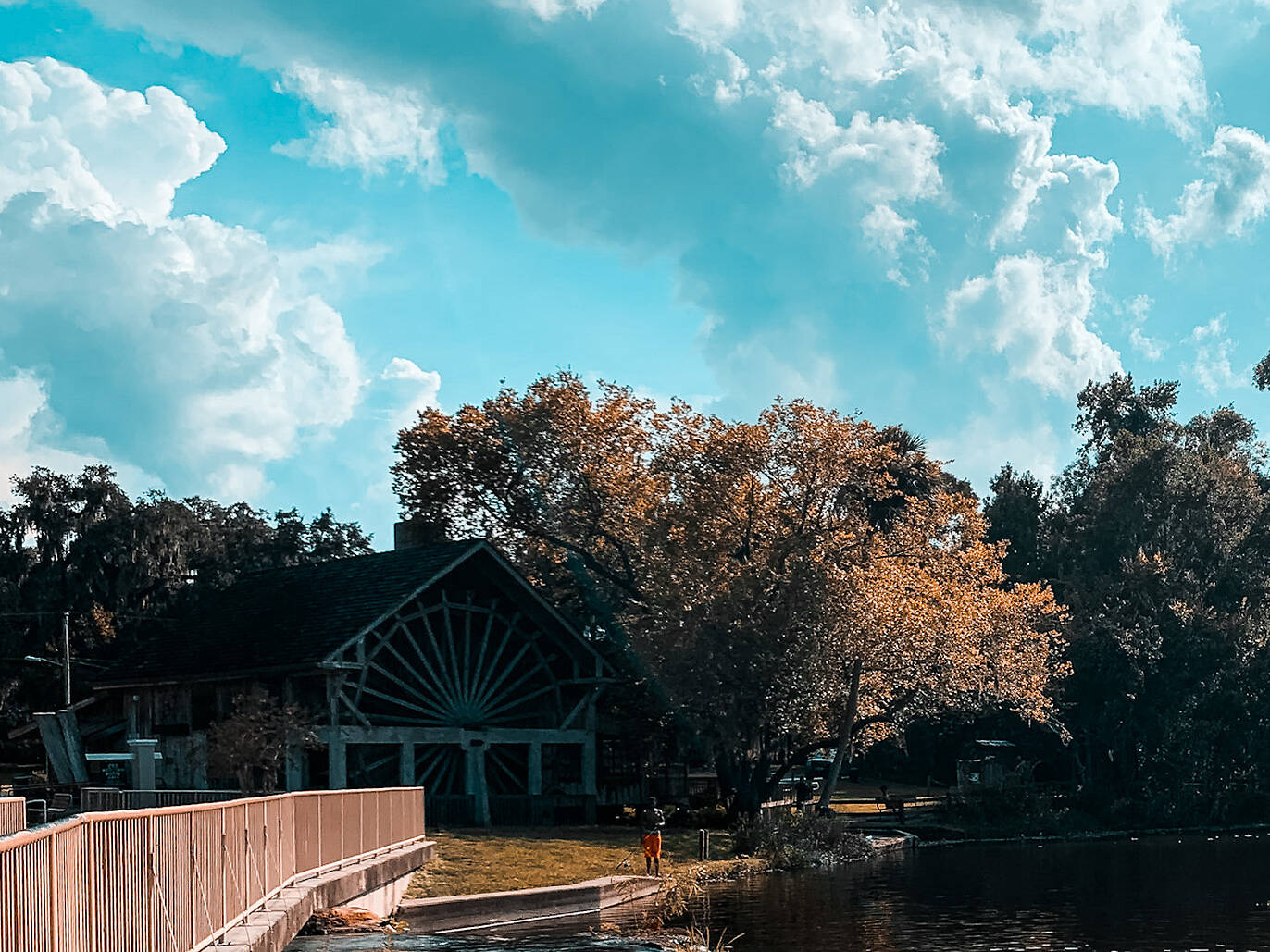 12 Natural Springs Near Miami for a Cooling Summer Swim