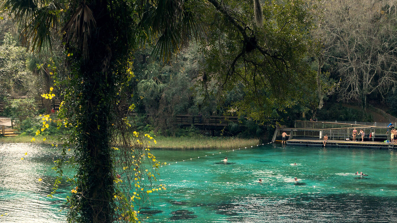 12 Natural Springs Near Miami for a Cooling Summer Swim