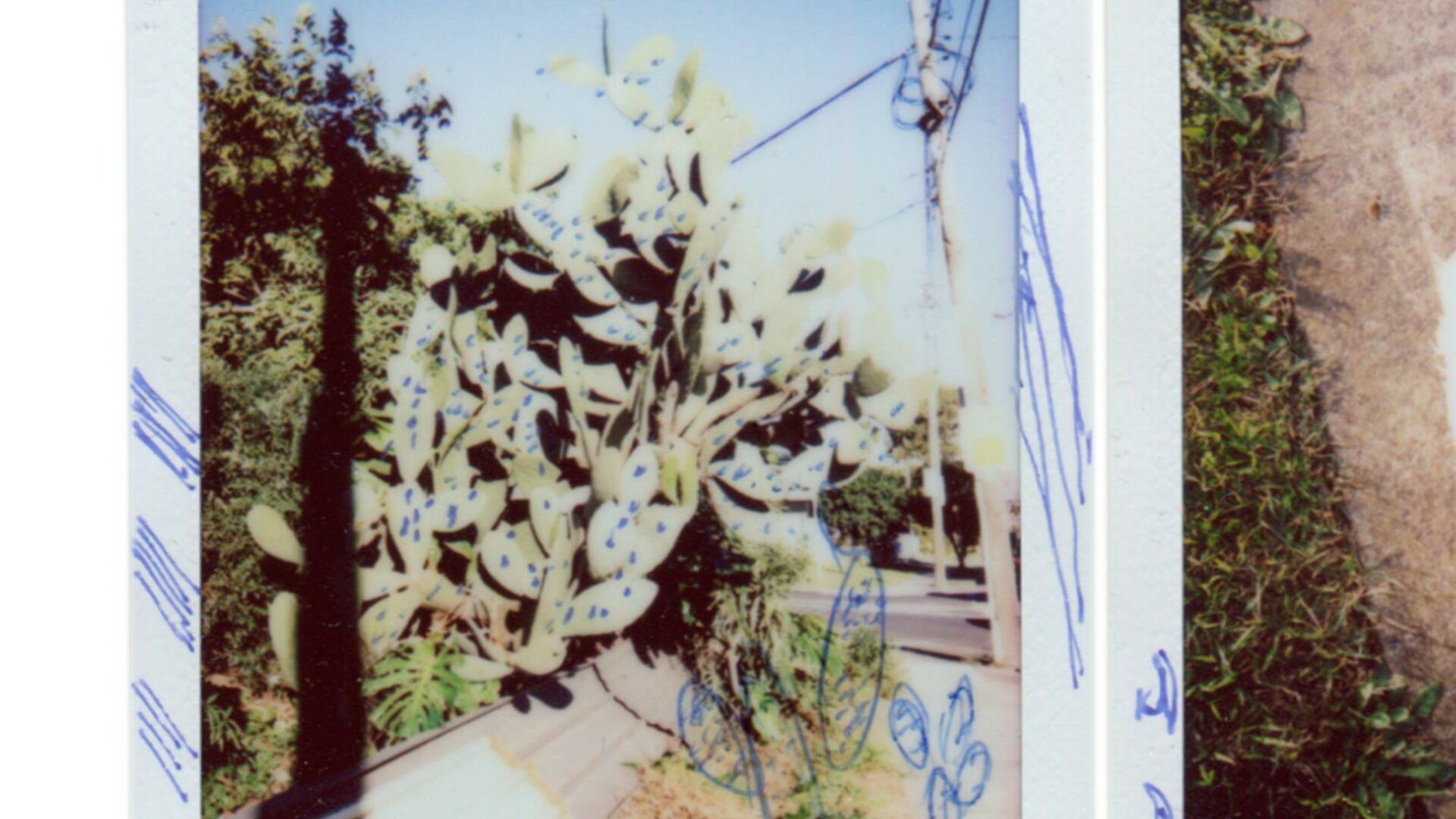 Time Pass | Art in Sydney