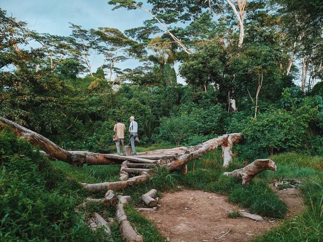 Hiking in Singapore: 18 Amazing Walking Trails For Trekkers To Try