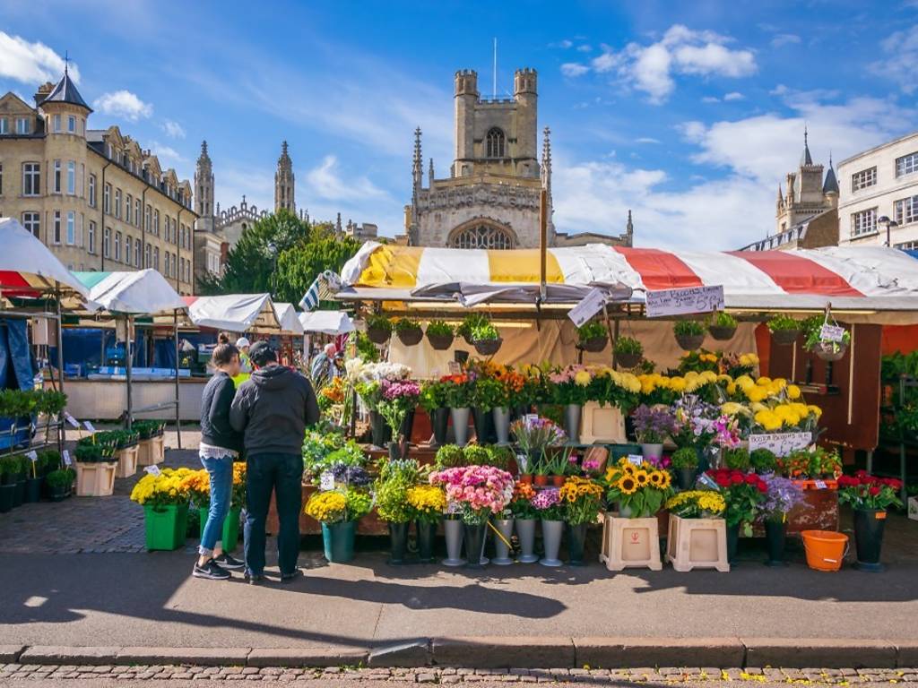 21 Best Things To Do in Cambridge Right Now