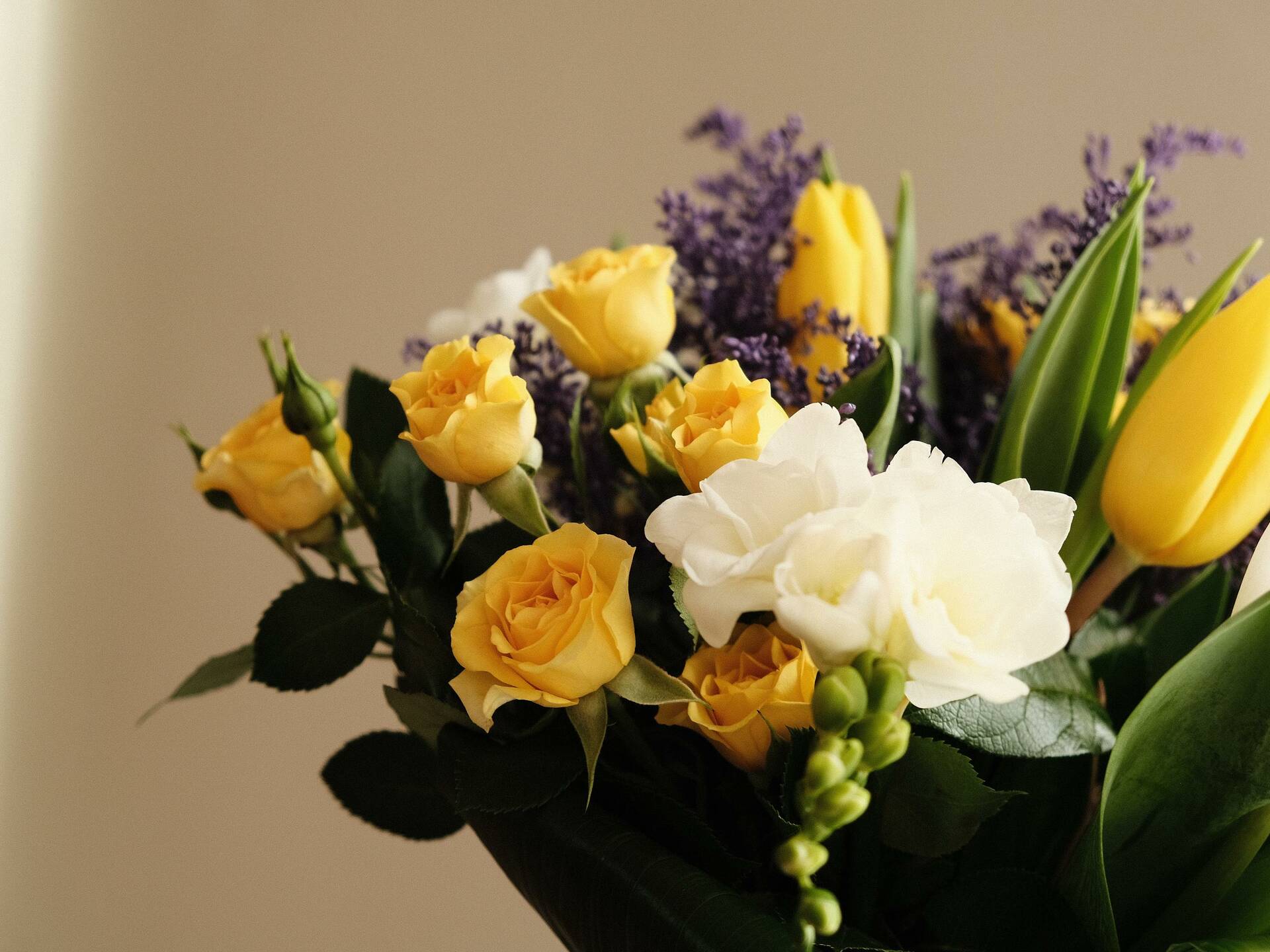 14 Excellent Flower Delivery Services in Melbourne