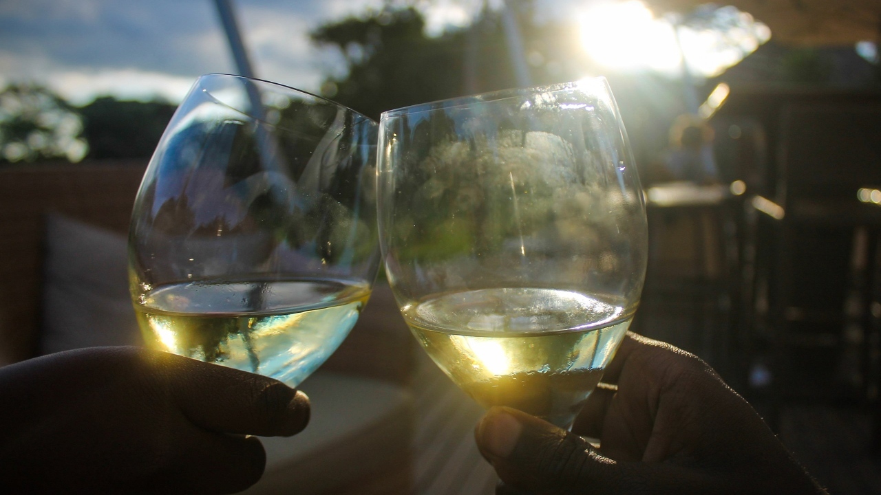 David Franz | Attractions in Adelaide