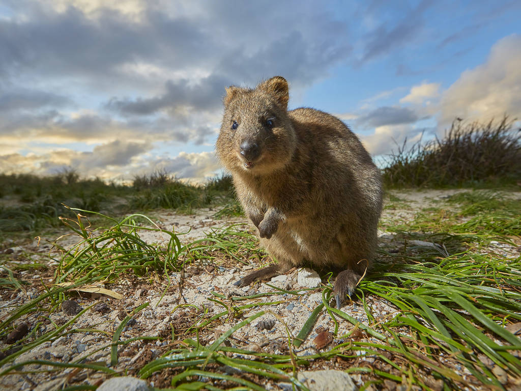 Best Things To Do in Perth | 9 Essential Attractions