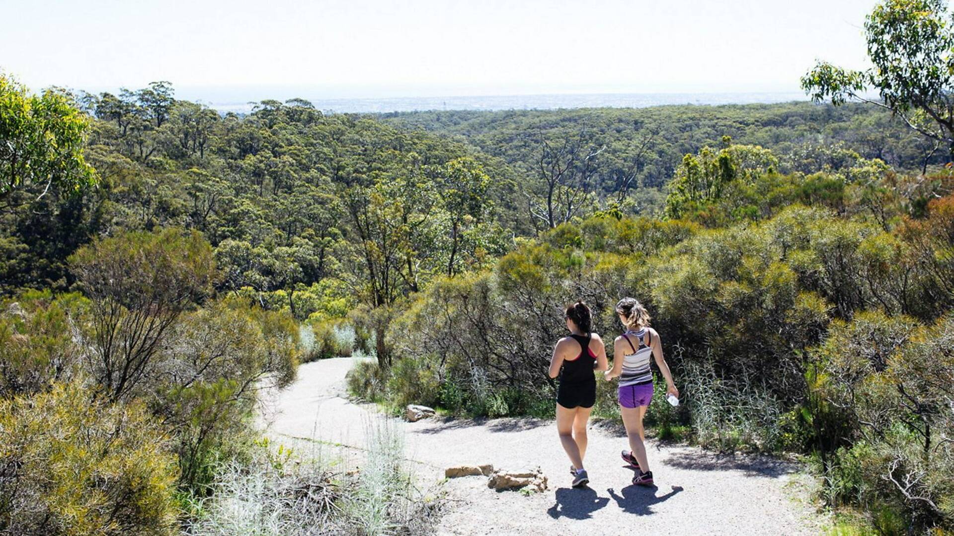 The 12 Best Free Things To Do in Adelaide [2026]