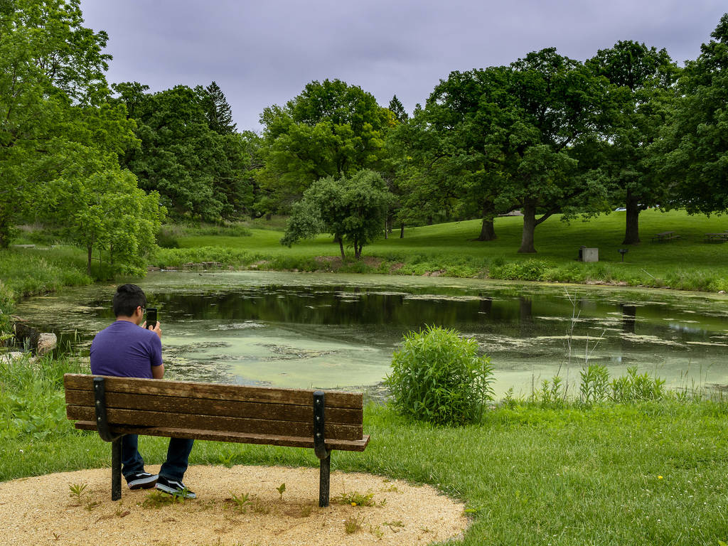 26 Best Places for Hiking Near Chicago in 2024